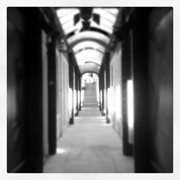 A Walk-Through of Your First Objective-C Application